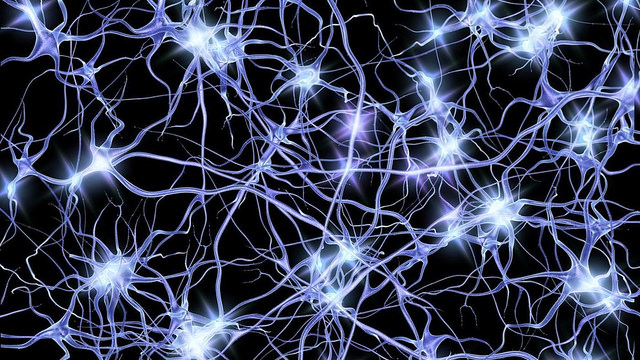 Introductory Computational Neuroscience | The Center for Brains, Minds ... Introductory Computational Neuroscience | The Center for Brains, Minds ...