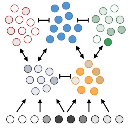 Probabilistic Learning and Inference in a Neuroidal Model of ...