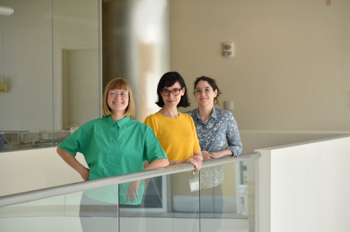 CBMM, NSF STC | The Center for Brains, Minds & Machines